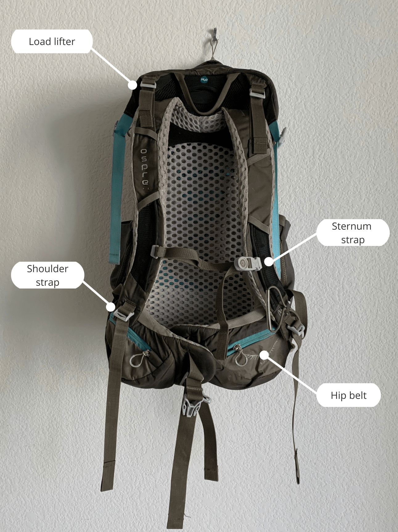How To Choose And Adjust A Hiking Backpack The Right Way Your Step by How To Choose And Adjust A Hiking Backpack The Right Way Your Step by